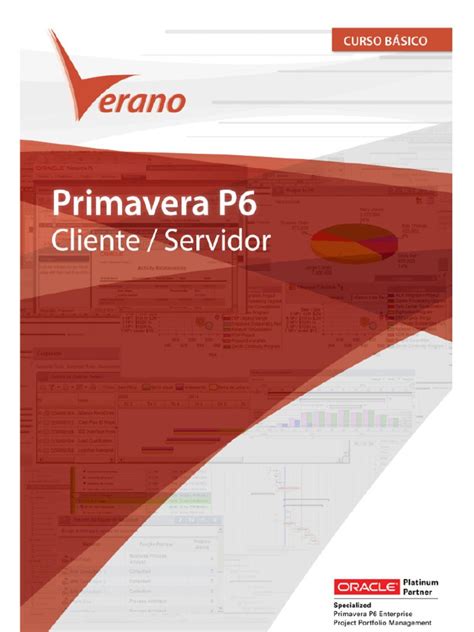 Primavera P6 Eppm R16 Basico Cliente Servidor Portugues V2 Pdf