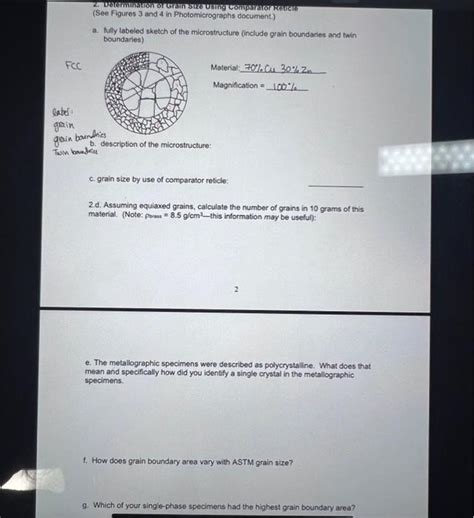 Solved A Fully Labeled Sketch Of The Microstructure