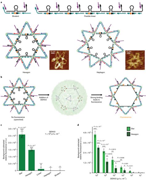 Designer Dna Architecture Offers Precise And Multivalent Spatial Pattern Recognition For Viral