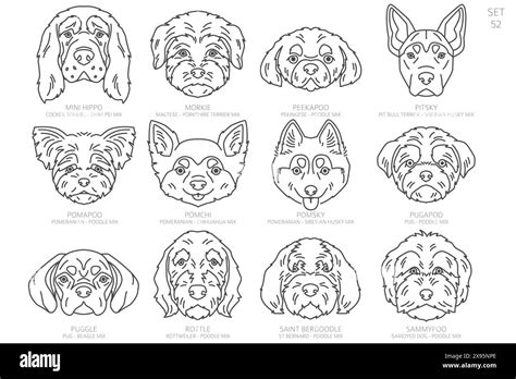 Designers Dog Head Silhouettes In Alphabet Order All Dog Mix Breeds