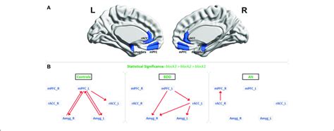 The Regions Of Interest And Dynamic Effective Connectivity Findings