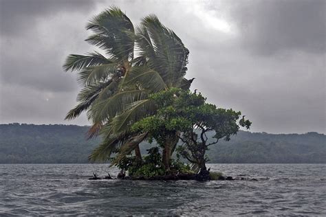 Фото острова Реннелл (30 фото)