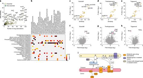 Chemical Versus Genetic Interference A Number Of Significant Top 1 Download Scientific