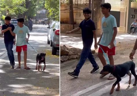 Kajols Son Yug Devgan Gets Trolled For His Dressing Sense Netizen Says As Shabby As His Mom