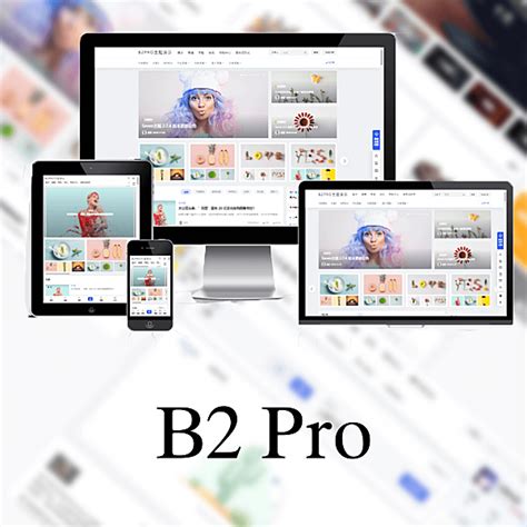 柒比贰主题破解版b2 Pro V520破解版下载附授权教程老默分享