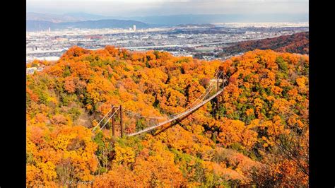 2017 ほしだ園地の紅葉 YouTube