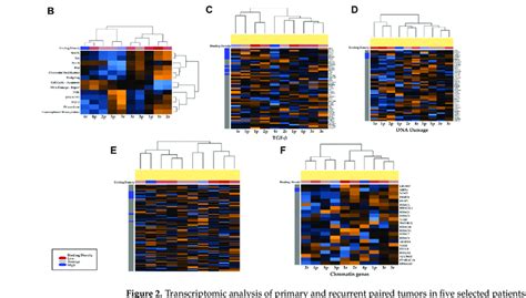 Transcriptomic Analysis Of Primary And Recurrent Paired Tumors In Five