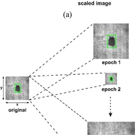A Uniform Scaling B Sampling Scaling Download Scientific Diagram