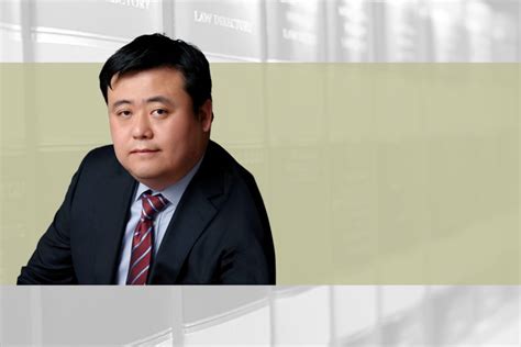 Exceptions Determining Functional Features In Disputes Law Asia