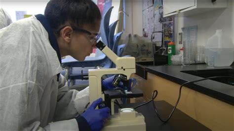 Why All Students Should Take Advanced Classes Videos