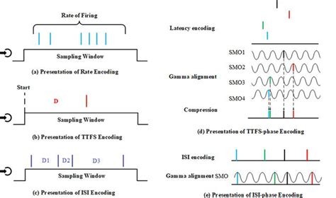 Spiking Neural Encoding And Hardware Implementations For Neuromorphic