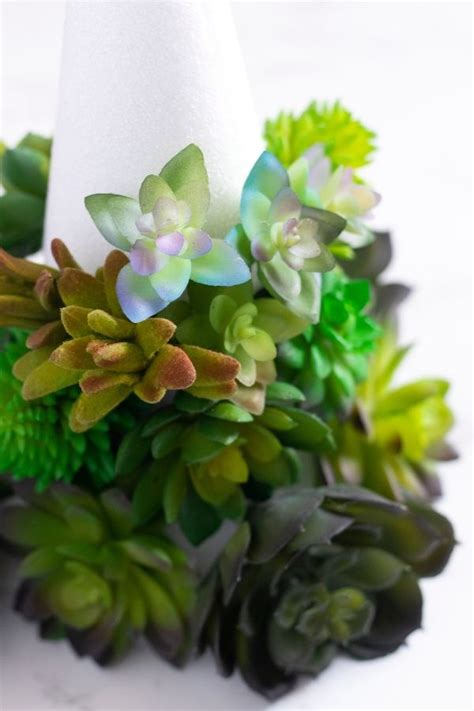 Succulent Christmas Tree Passion For Savings