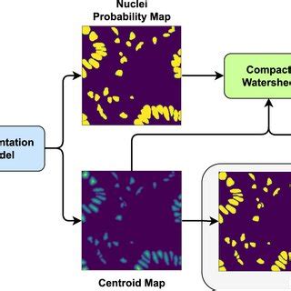 Pictorial Representation Of Our Proposed Instance Segmentation Download Scientific Diagram