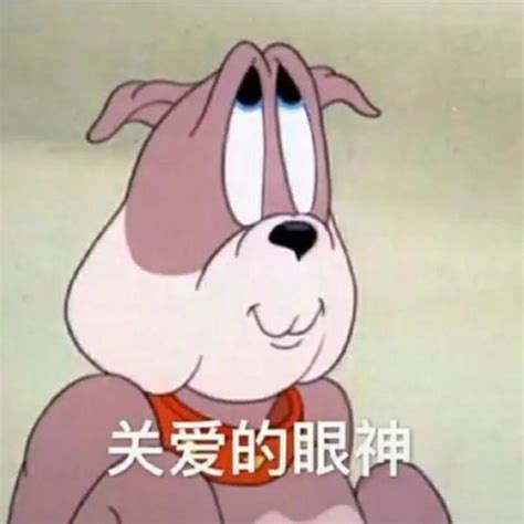 W251岛国超重口综艺，女优与素人同睡，陌生男女必须接吻全程高能~~ 知乎