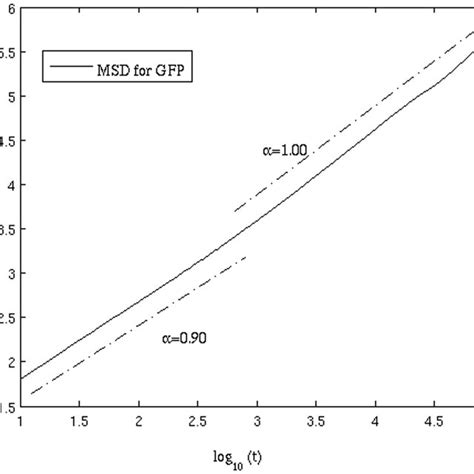 Scaling Of The Mean Squared Displacement As A Function Of Time