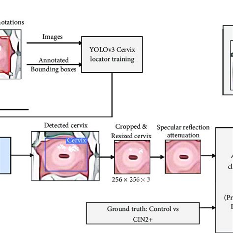 Key Steps Of The Analysis Process Initially Hand Drawn Bounding Boxes