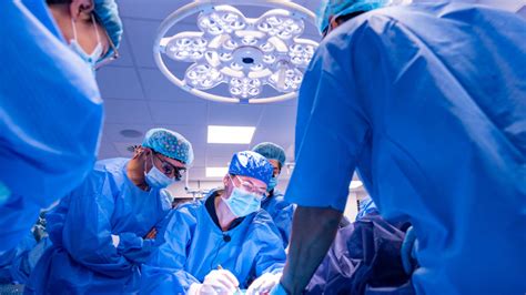 Ao Cmf Course—reconstructive Surgery In Head And Neck With Flap Harvesting With Human