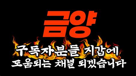 금양 세력들아 그만해라 내 구독자 내가 지킨다 주가전망 주가 전망 Youtube