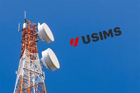 Data Roaming Explained What You Need To Know Usims Blog