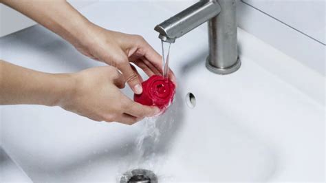 Discover The Best Rose Sex Toys For Unique Sensations Lovense Sex Blog