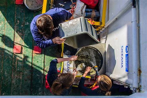 How Can Seabed Sampling Help Us Save The Oceans Oceana Uk