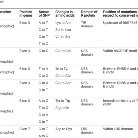 Position And Nature Of Non Synonymous Mutations In Different Conserved