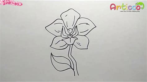 Як легко намалювати орхідею початківцям простий малюнок для дітей Ravlyk
