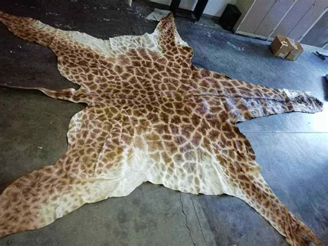Giraffe Skin Giraffe Hide