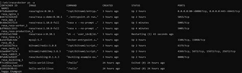 Rasa X Server Keep Restarting Rasa Open Source 2024 12 09