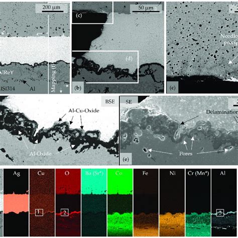 Typical Mixed Fracture Surfaces And Delamination Surfaces Of Series H Download Scientific