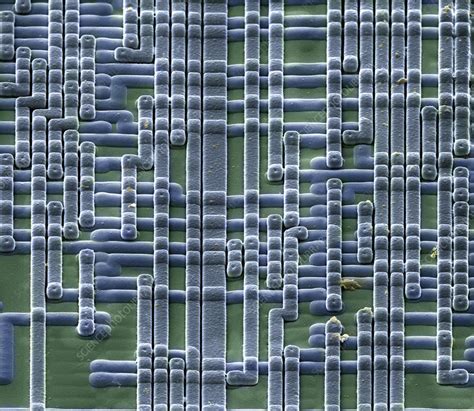 Microchip Surface Sem Stock Image C0569639 Science Photo Library