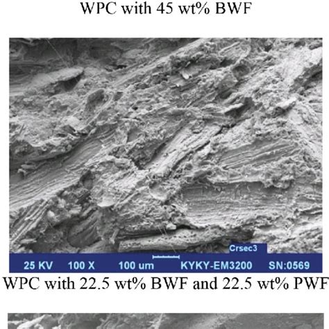 Sem Micrographs Of The Fracture Surfaces In Wpcs At Different Amounts