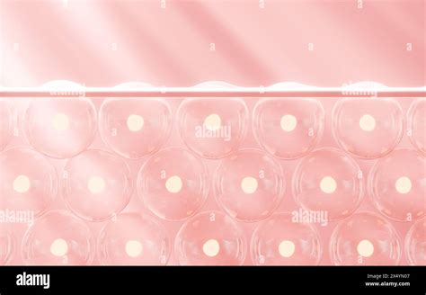 Cells And Skin Tissue Skincare And Biomedical Concept 3d Rendering 3d Illustration Stock