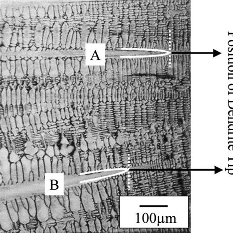 Schematic View Of The Measurement Of Primary Dendrite Arm Spacing Download Scientific Diagram