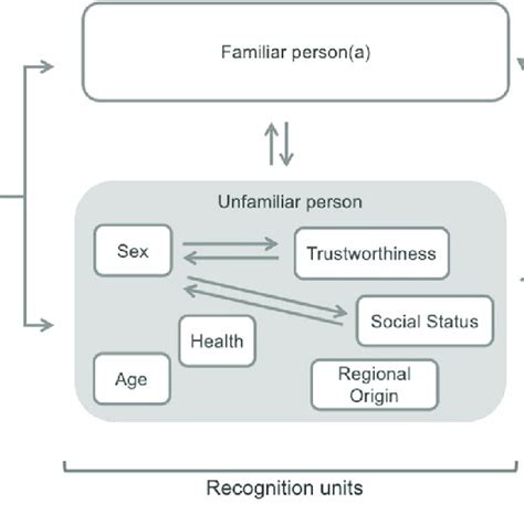 A Hierarchical Model Of Person Perception From Voices Ppv The Model