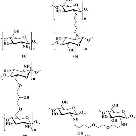 Schematic Representation Of Chitosan And Cross Linked Chitosan Beads A Download Scientific