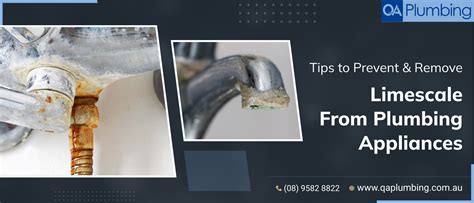 How To Get Rid Of Limescale In Toilet Pipes At Iris Morris Blog