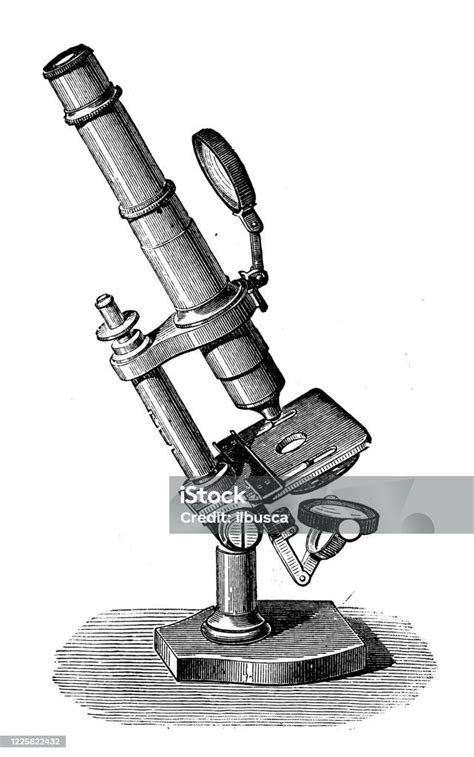 과학적 발견 실험 및 발명의 골동품 그림 광학 현미경 및 돋보기 현미경에 대한 스톡 벡터 아트 및 기타 이미지 현미경 에칭 새긴 이미지 Istock