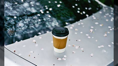 꽃이진다고 Youtube