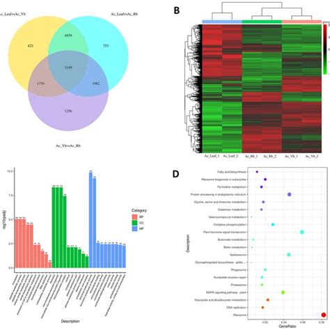 Differential Gene Expression Of Star Fruit Vegetative And Reproductive Download Scientific