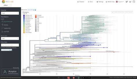 Previous Assignation 20c Now Report 20a · Issue 650 · Nextstrainnextclade · Github