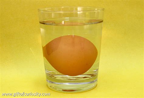 The Floating Egg Hands On Density Experiment Gift Of Curiosity