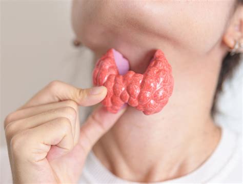 Der Einfluss Von Jod Bei Hashimoto Thyreoiditis