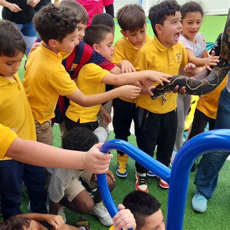 School Assembly Programs Interactive Learning With Live Animals