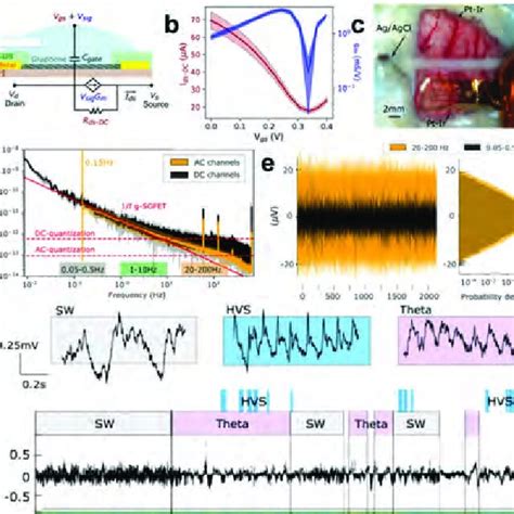 Graphene Sensing Array For Monitoring Extracortical Brain Activity A Download Scientific