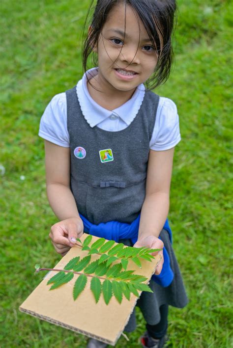 Leaf Snap Provocation Nustem