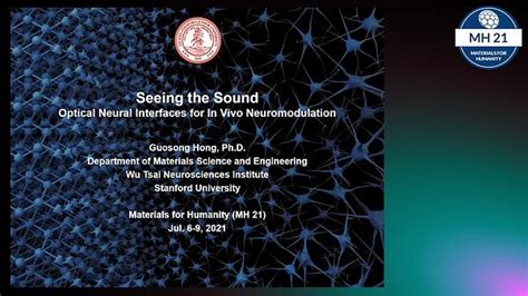 Underline Seeing The Sound Optical Neural Interfaces For In Vivo