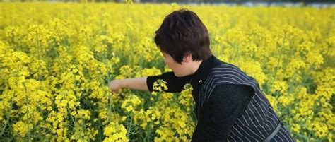 屯溪区：农技服务送下乡 保障市民“油瓶子”油菜花专技检测