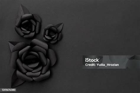 오른쪽에 복사 공간이있는 검은 종이 꽃 사진 단색 검은 색 배경입니다 3차원 형태에 대한 스톡 사진 및 기타 이미지 3차원 형태 개념 개념과 주제 Istock