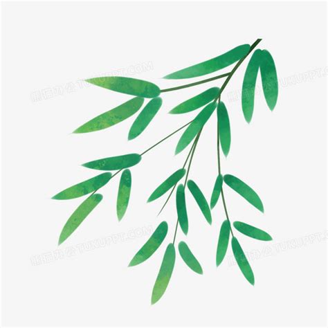 一组不同树木的水彩树枝套图合集二PNG图片素材下载 树枝PNG 熊猫办公